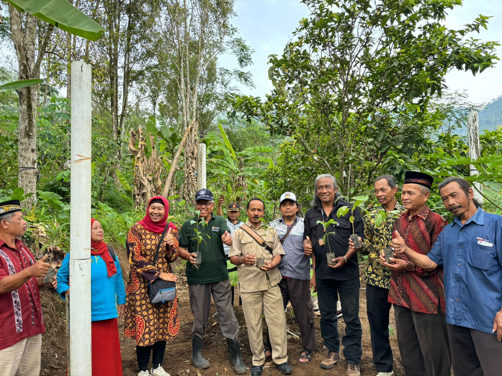 FTP UGM Dukung Pengembangan Demplot II dan Penguatan Kelembagaan Kopi ...